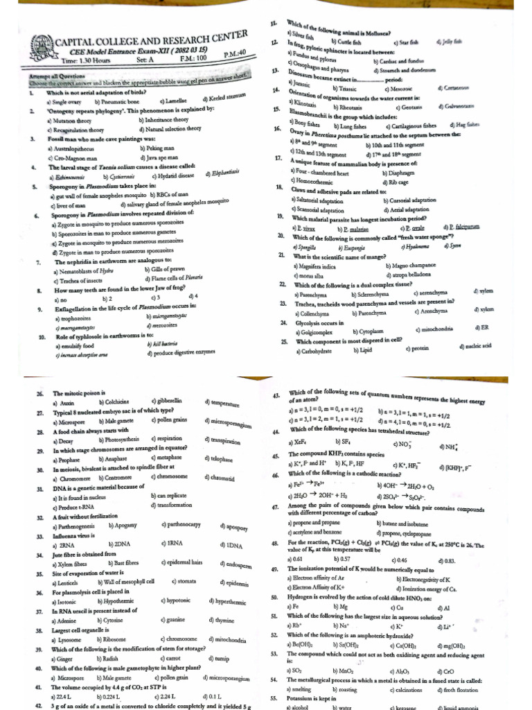 MCQ - 2 | PDF