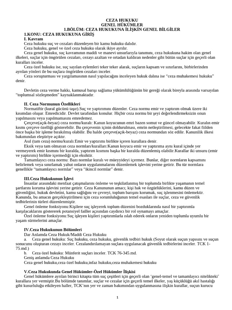 00000205-Ceza Genel Not | PDF