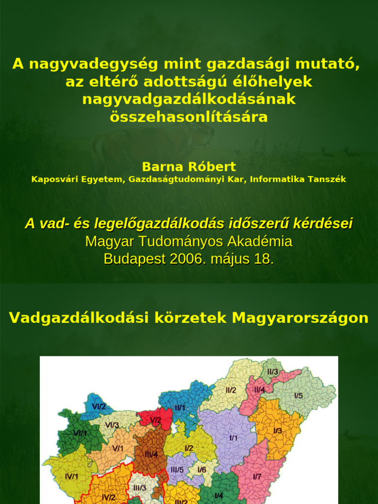 BarnaR-A Nagyvadegység Mint Gazdasági Mutató | PDF