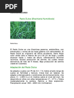 Ficha Técnica Del Pasto Peludo (Brachiaria Decumbens | PDF | Pasto | Pasto