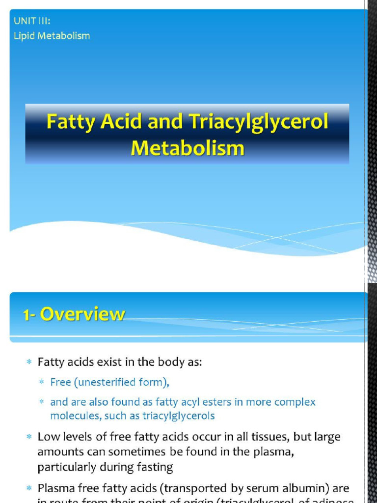 Fatty Acid Synthesis and Storage | PDF | Triglyceride | Fatty Acid
