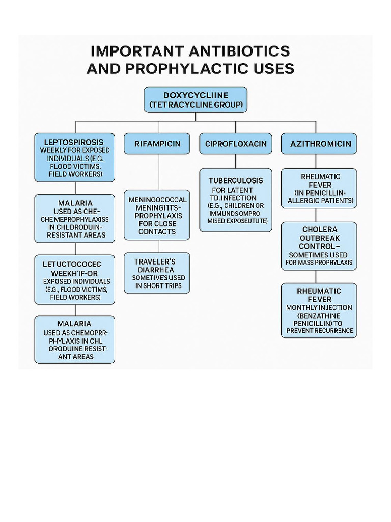 Antibiotics Prophylaxis Flowchart | PDF