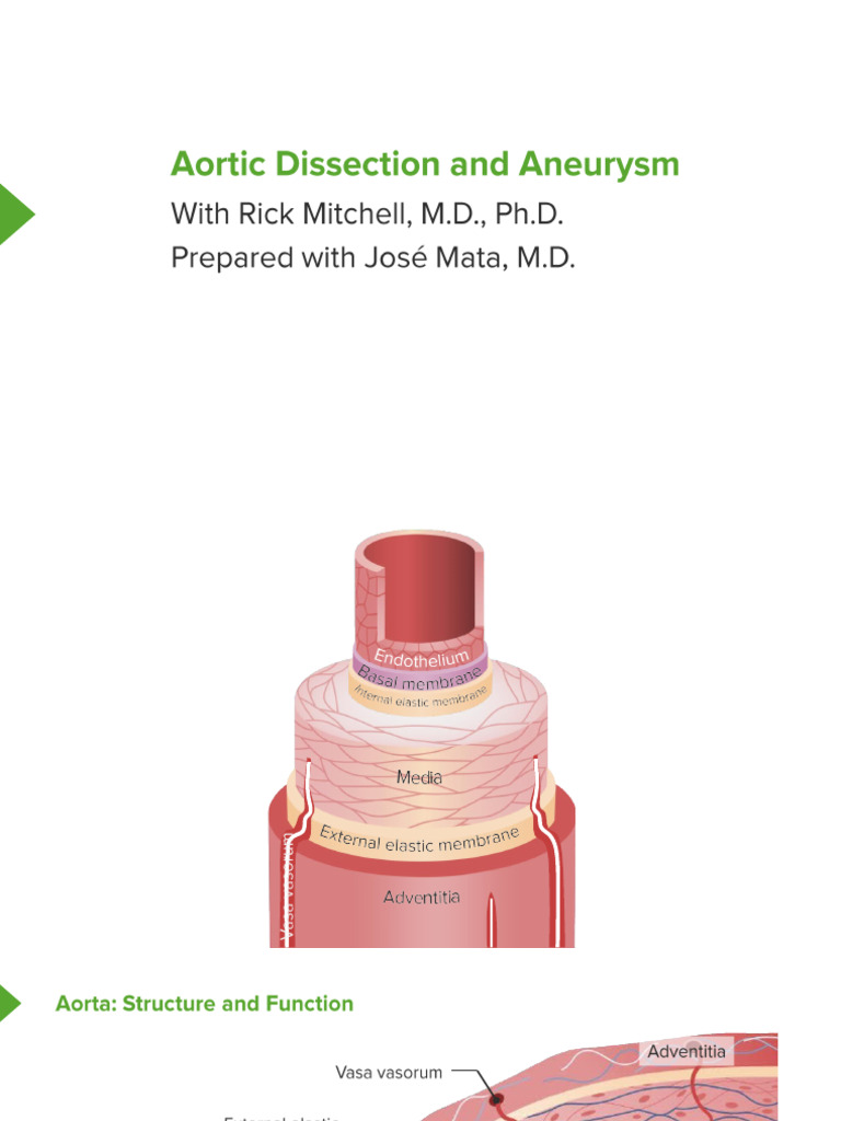 Aneurisma Aorta 00 Slides - Aortic - Disease | PDF