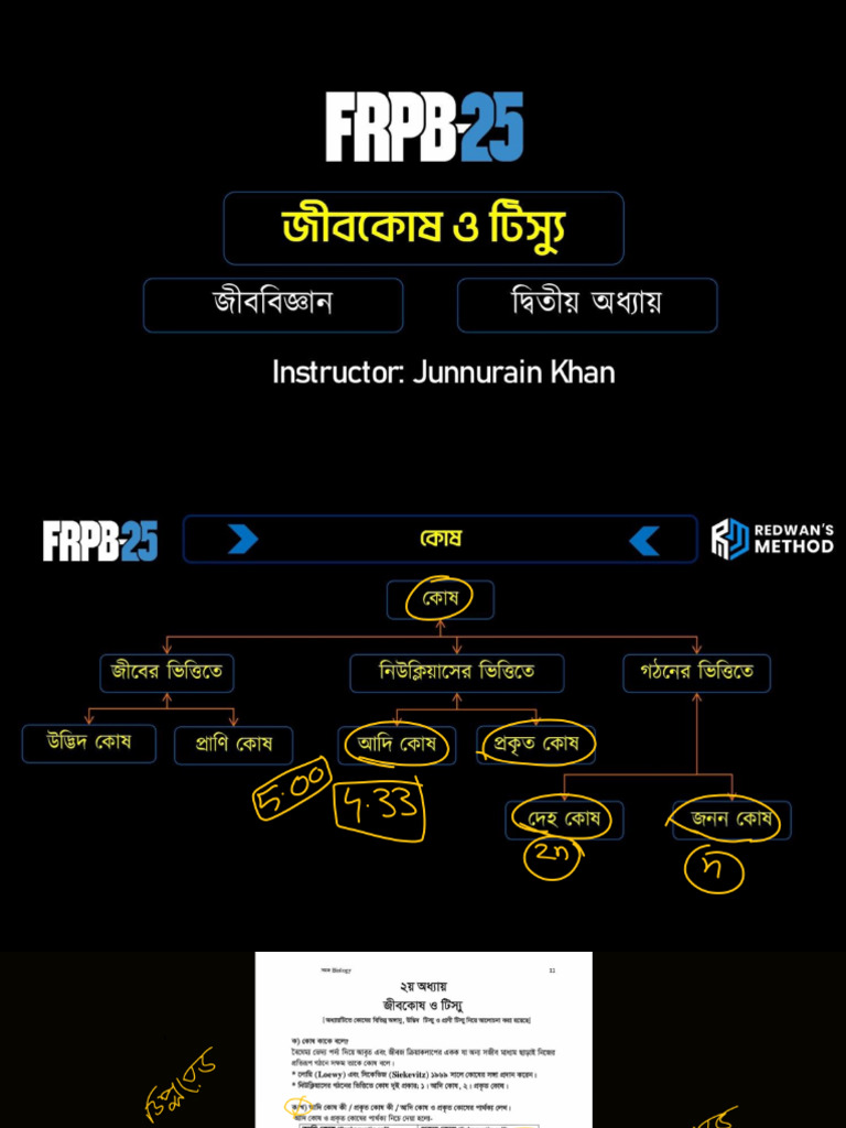 CH 2 Class PDF | PDF