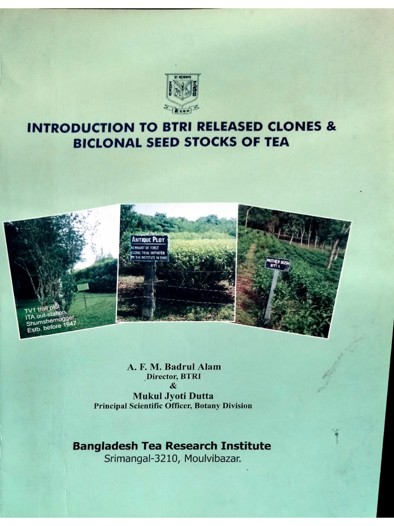 Tea (Btri Clones) PDF | PDF