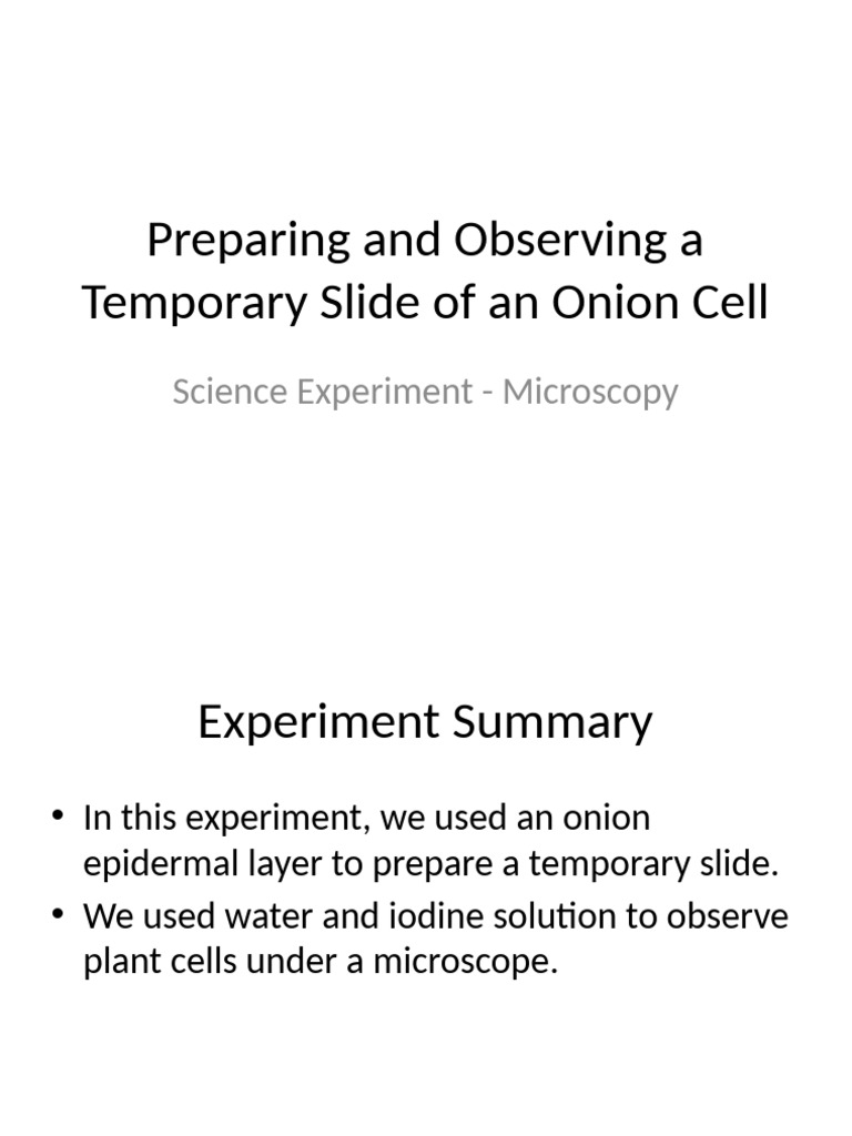 Onion Cell Slide Experiment | PDF