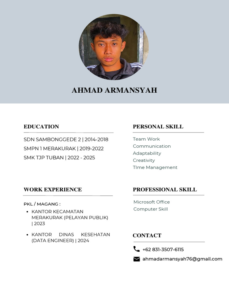 Ahmad Armansyah's Profile Summary | PDF