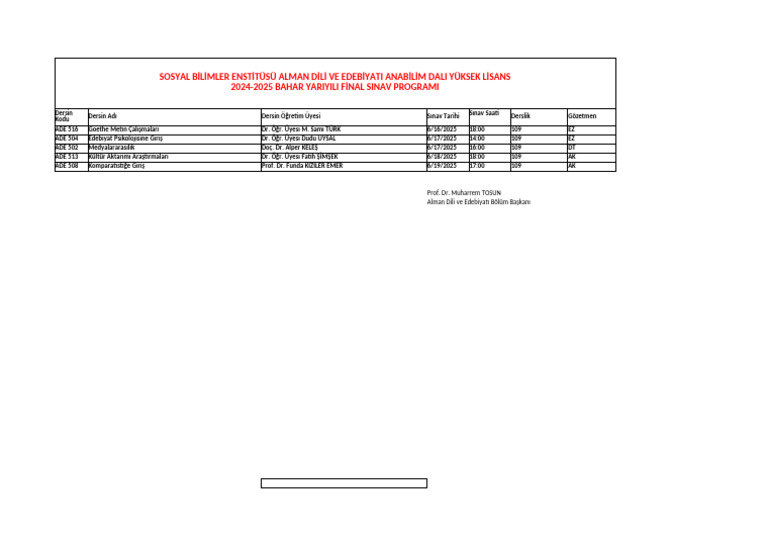 2024-2025 ADE YLS Bahar Final Sinav Programi 1 | PDF