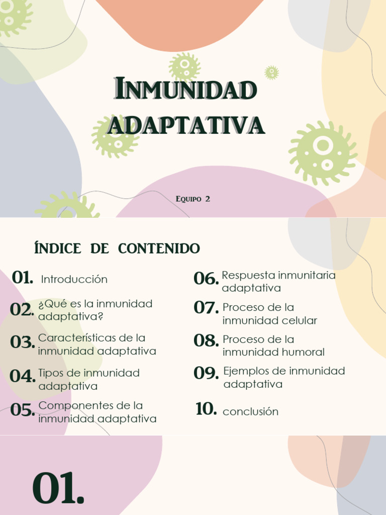 Inmunidad Adaptativa Equipo 2 | PDF | Sistema inmune | Linfocitos