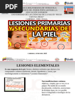 Definición de mácula y pápula en piel | PDF | Piel | Sistema tegumentario