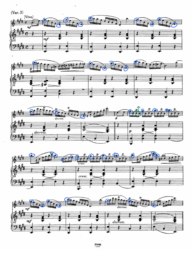 Christian Renwick - Análisis Variaciones Chopin | PDF