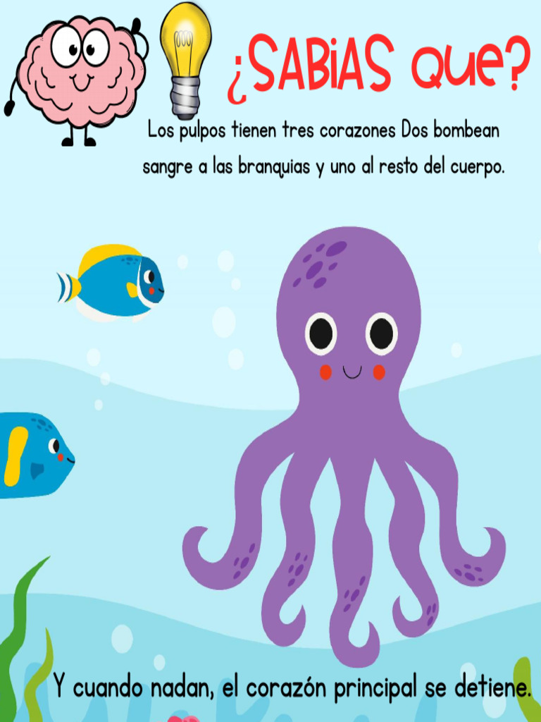 10 Datos Curiosos Sobre Los Animales para Ninos PDF | PDF | Depredación | Pulpo