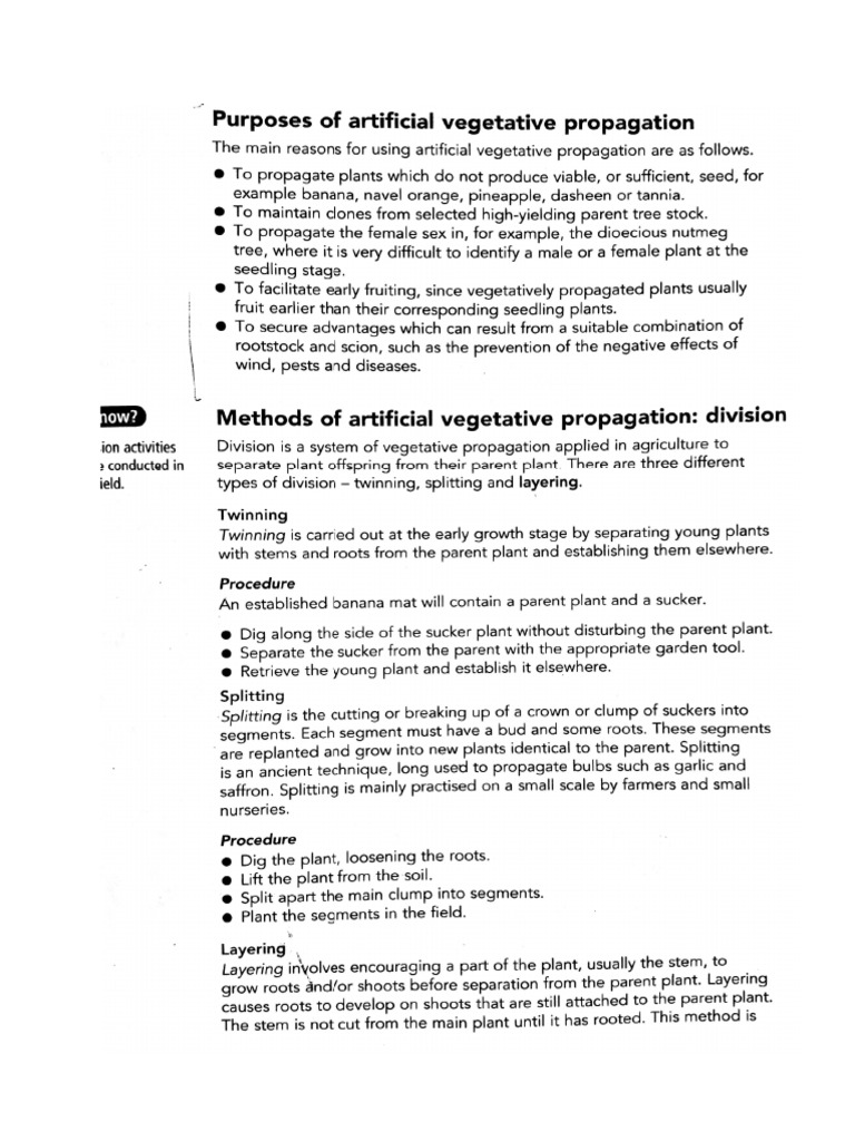 Artificial Vegetative Propagation | PDF