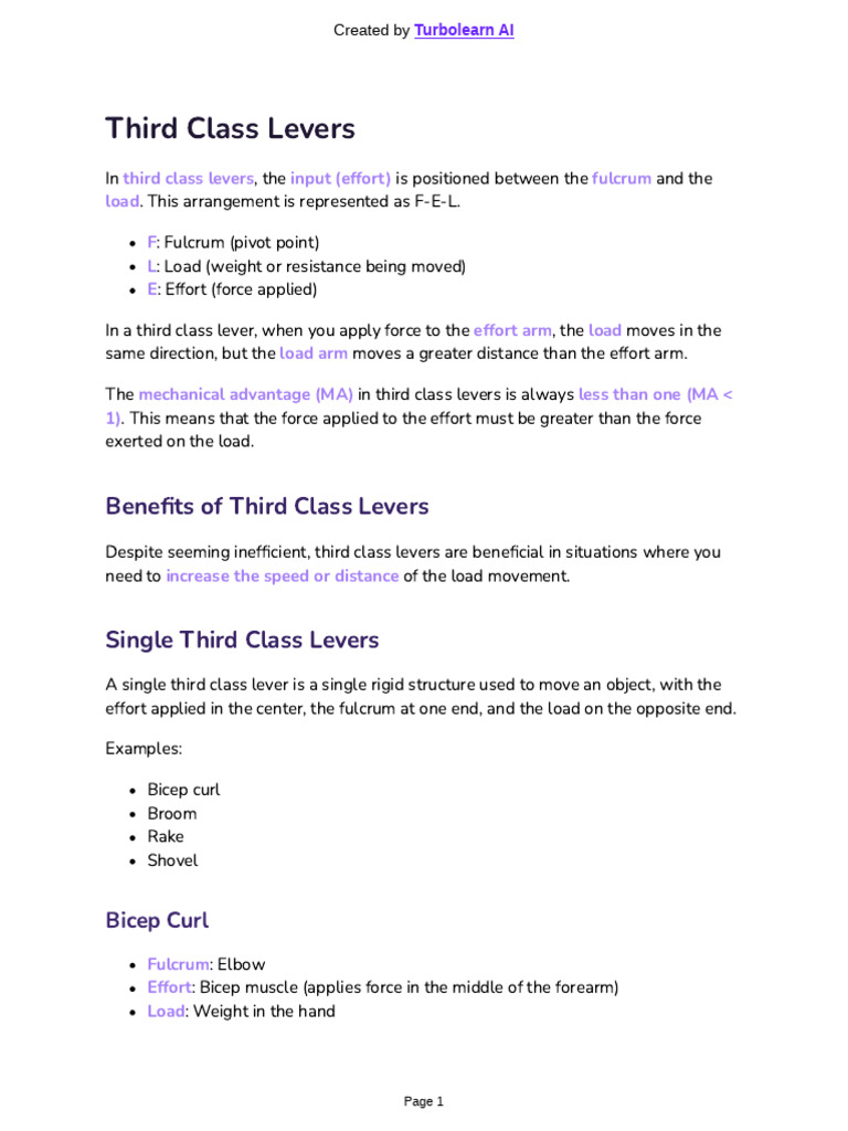 Understanding Third Class Levers | PDF | Lever | Kinematics