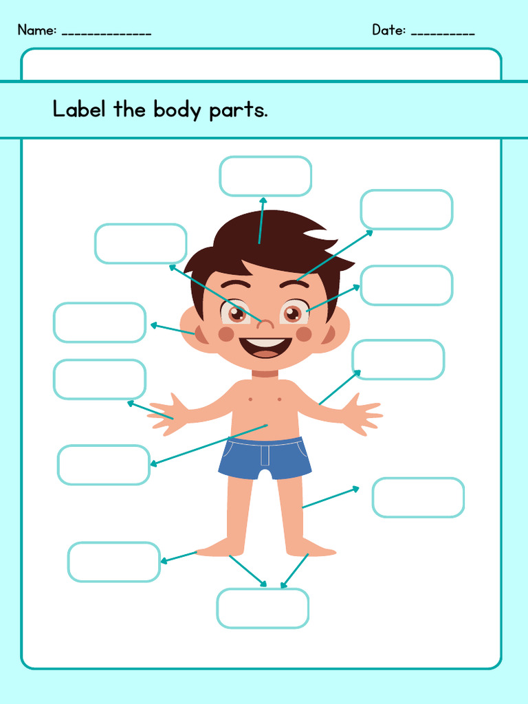 Blue Minimalist Body Parts Labeling Worksheet - 20250625 - 231705 ...