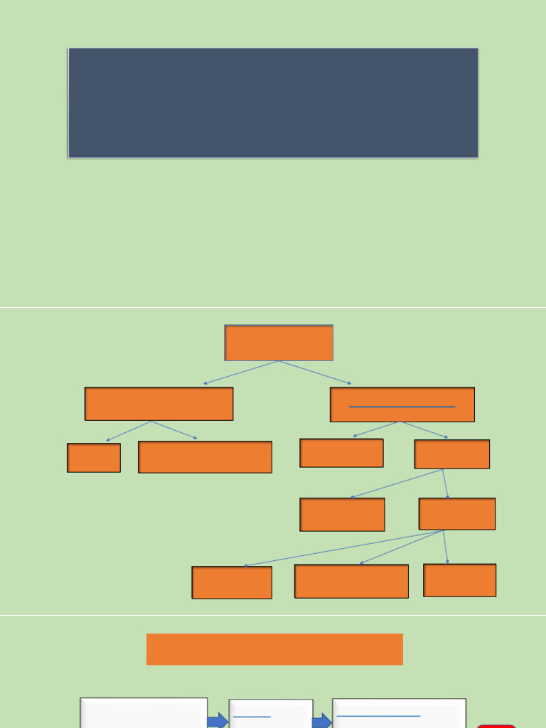 LBM 2 Somatosensori Dan Somatomotorik Tractus - 2024 | PDF
