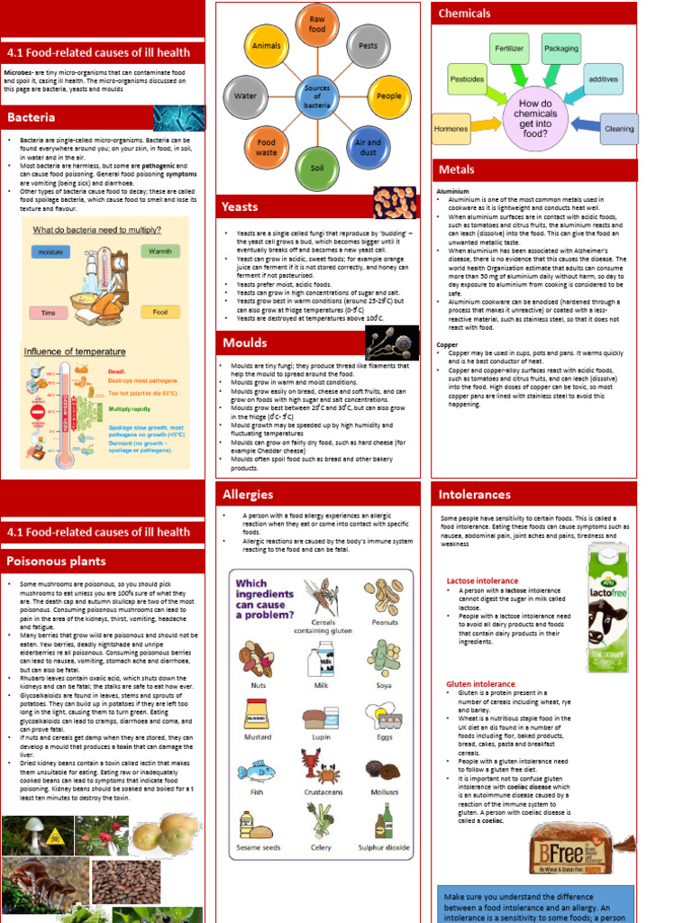 Catering Knowledge Organiser - LO4 | PDF | Nutrition Facts Label | Food ...