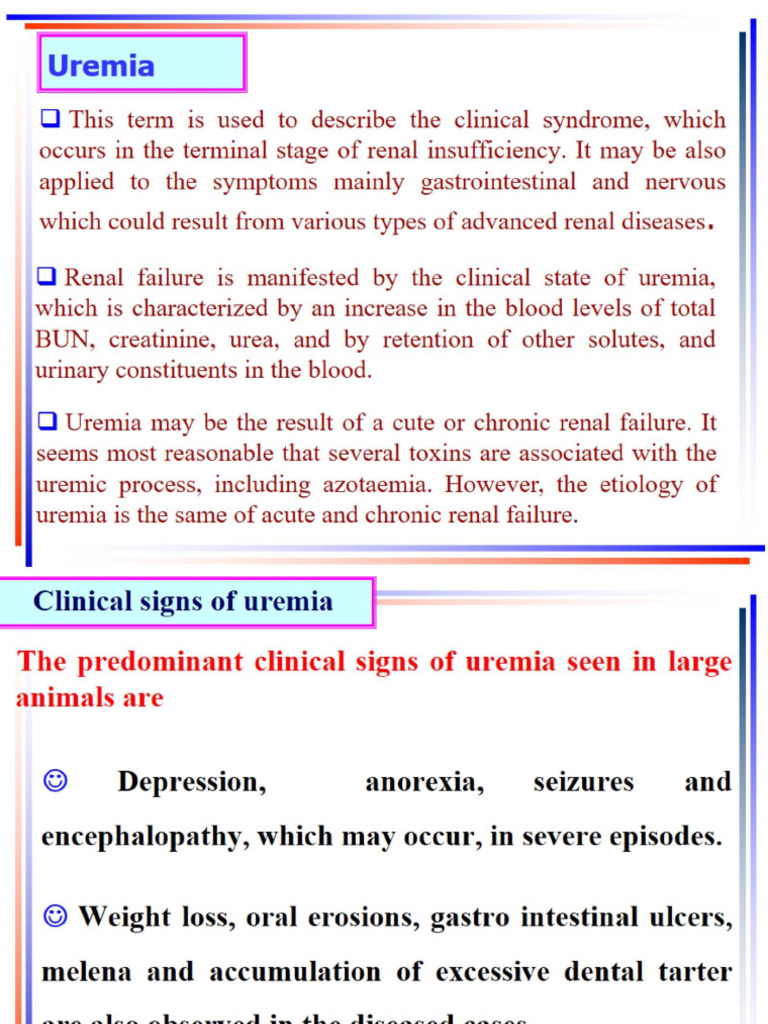 6 Uremia | PDF