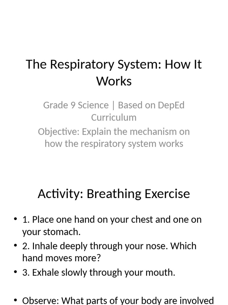 Respiratory System Grade9 4as | PDF