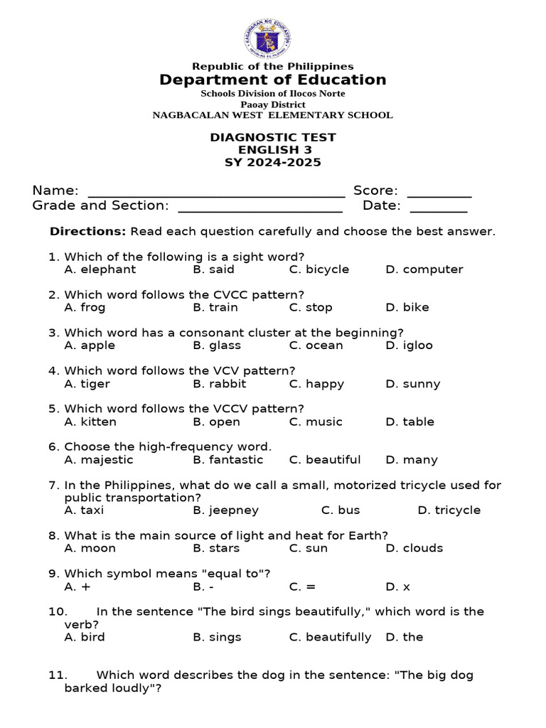 Diagnostic Test in English 3 | PDF