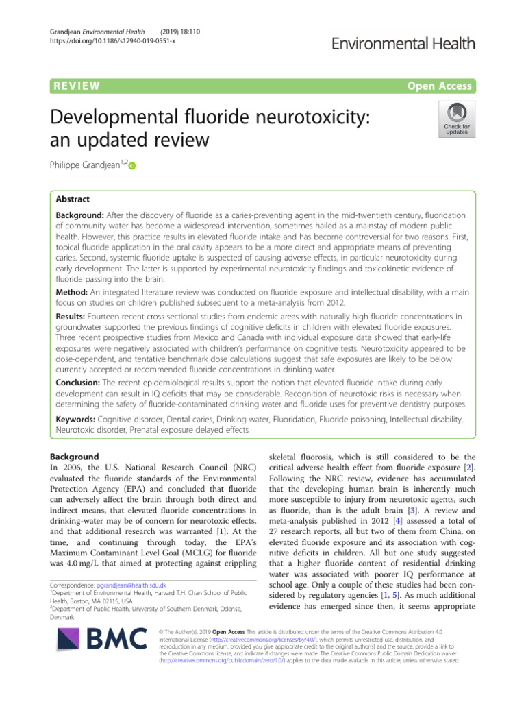 Neurotoxicidad Del Flúor en El Desarrollo - Una Versión Actualizada ...