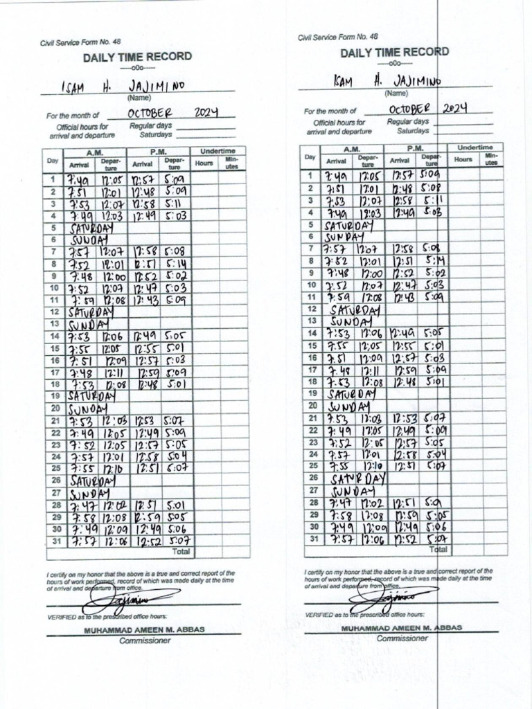 Basilan Cos DTR October 2024 | PDF