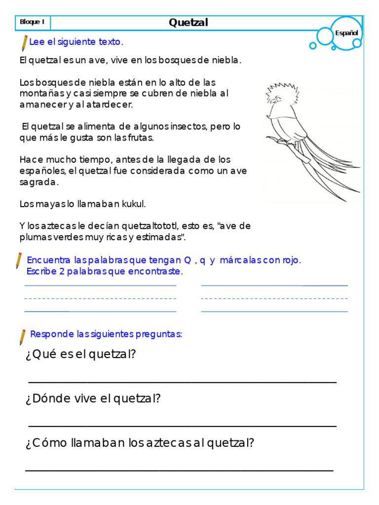 Lectura Con Q | PDF