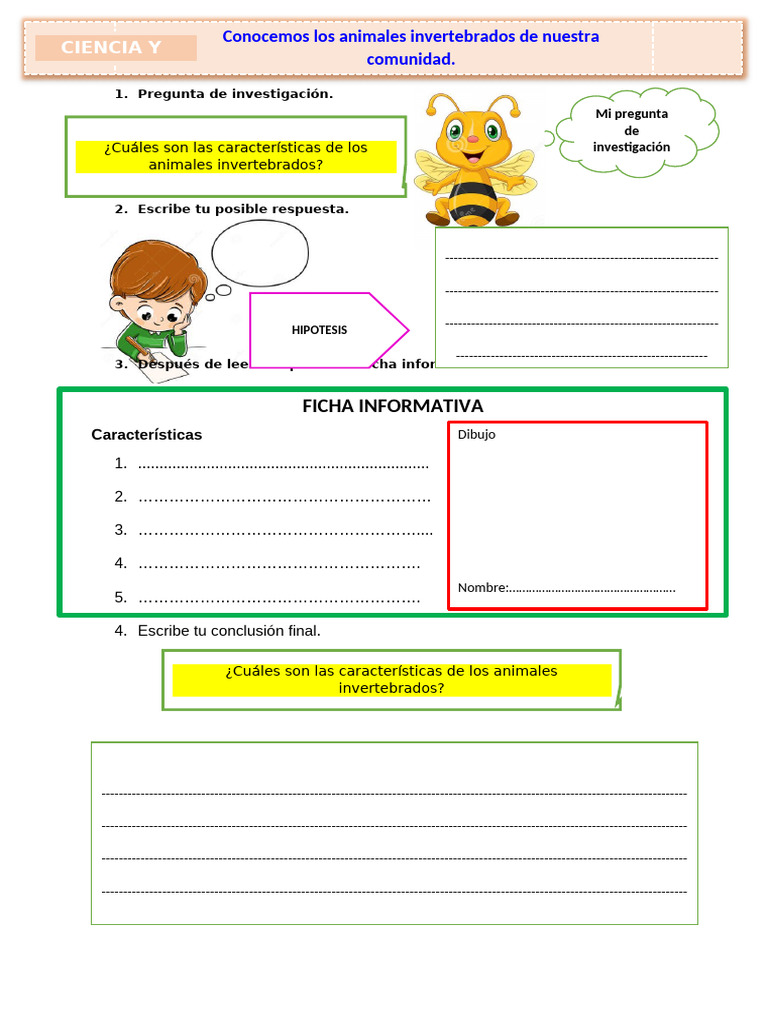 D3 A1 FICHA CT. Conocemos Los Animales Invertebrados de Nuestra ...