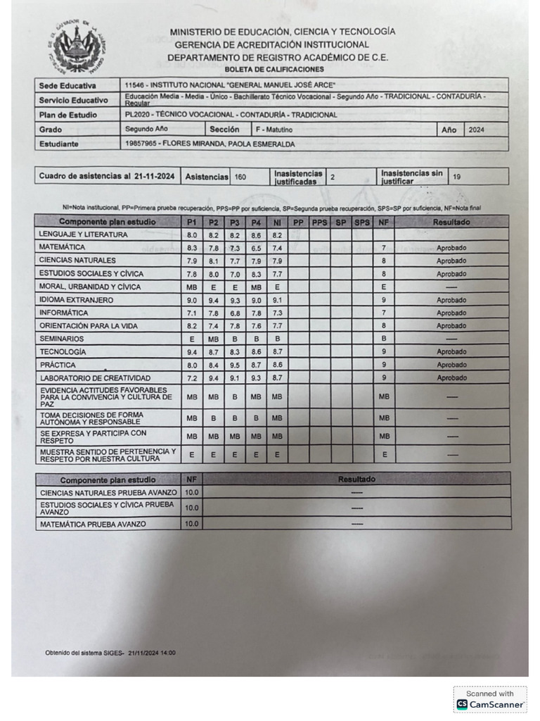 Documentos Escaneados | PDF