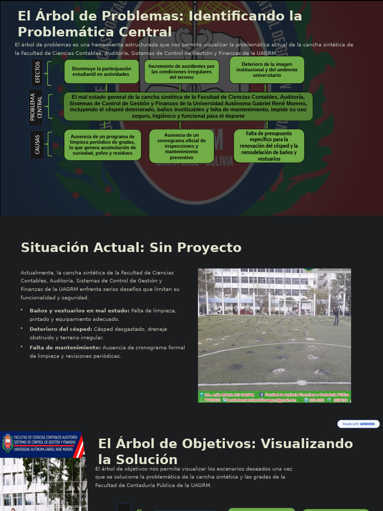 El Arbol de Problemas Identificando La Problematica Central INTEGRANTE ...