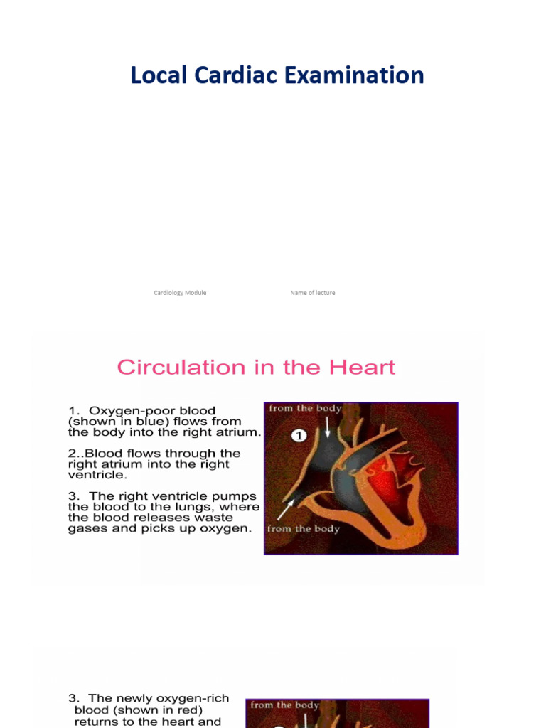 Cardiac Examination Sem 2 | PDF | Thorax | Heart