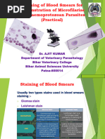 Blood Parasite Identification Techniques | PDF | Staining | White Blood ...