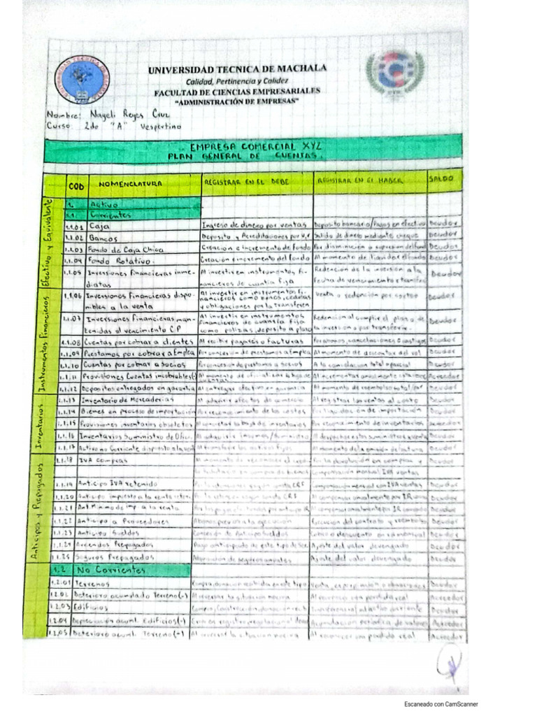 Plan de Cuentas - Nayeli Reyes | PDF