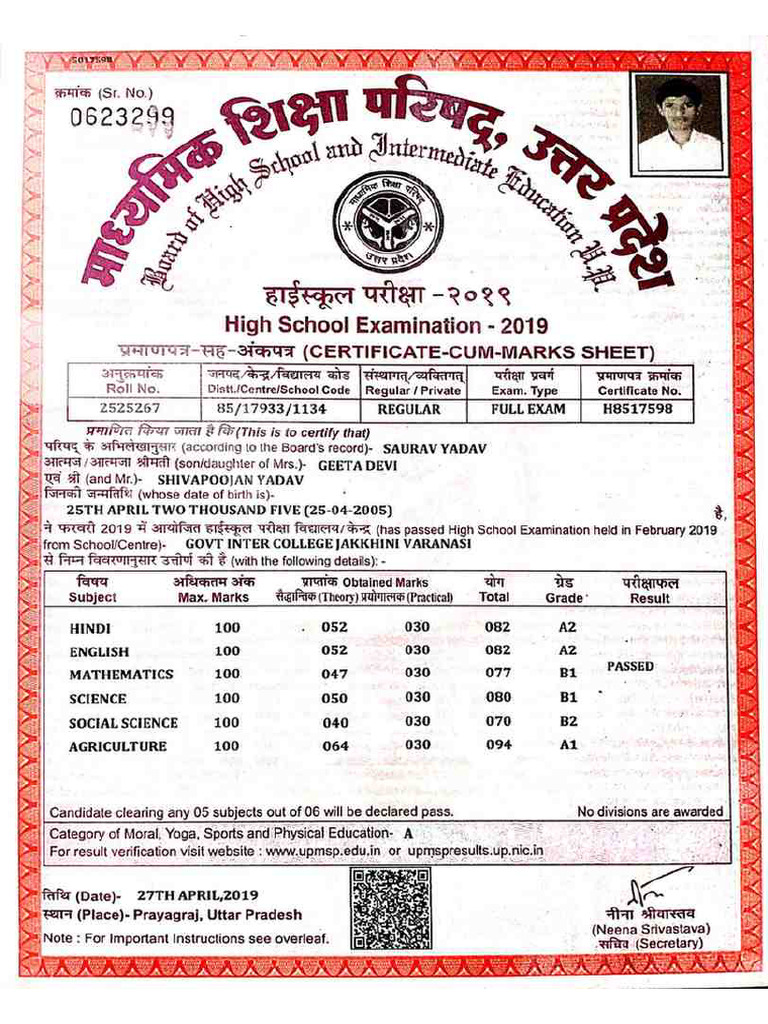 Board Certificate | PDF