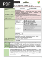 Modelo Pauta Trabajo Comun | PDF | Evaluación | Aprendizaje