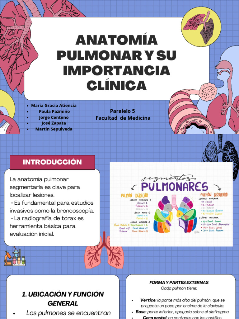 Anatomía Pulmonar | PDF | Pulmón | Tórax