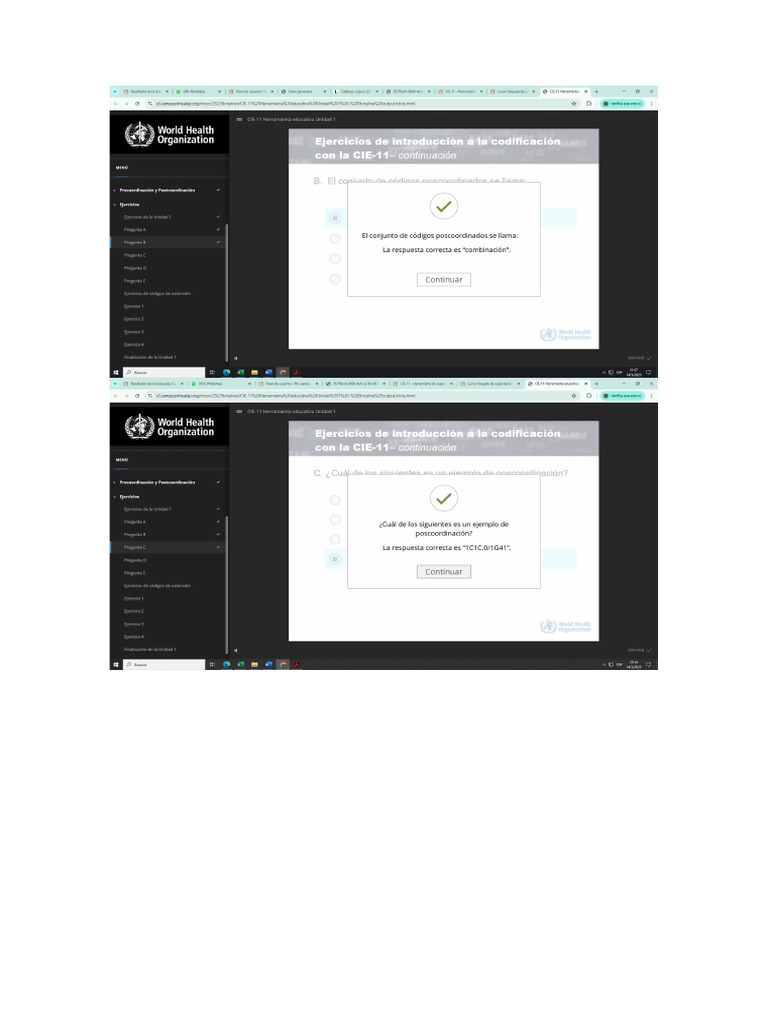 Cie 11 | PDF | Infarto de miocardio | Enfermedades y trastornos humanos