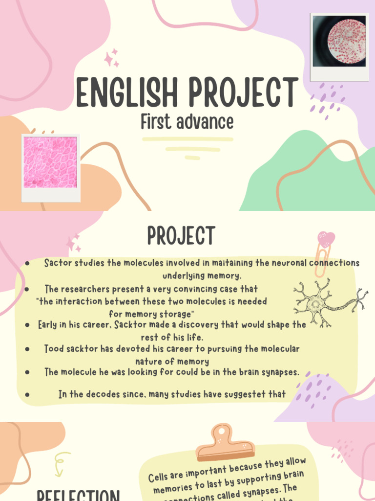 First Advance Ingles Project | PDF | Neuroscience | Physiology