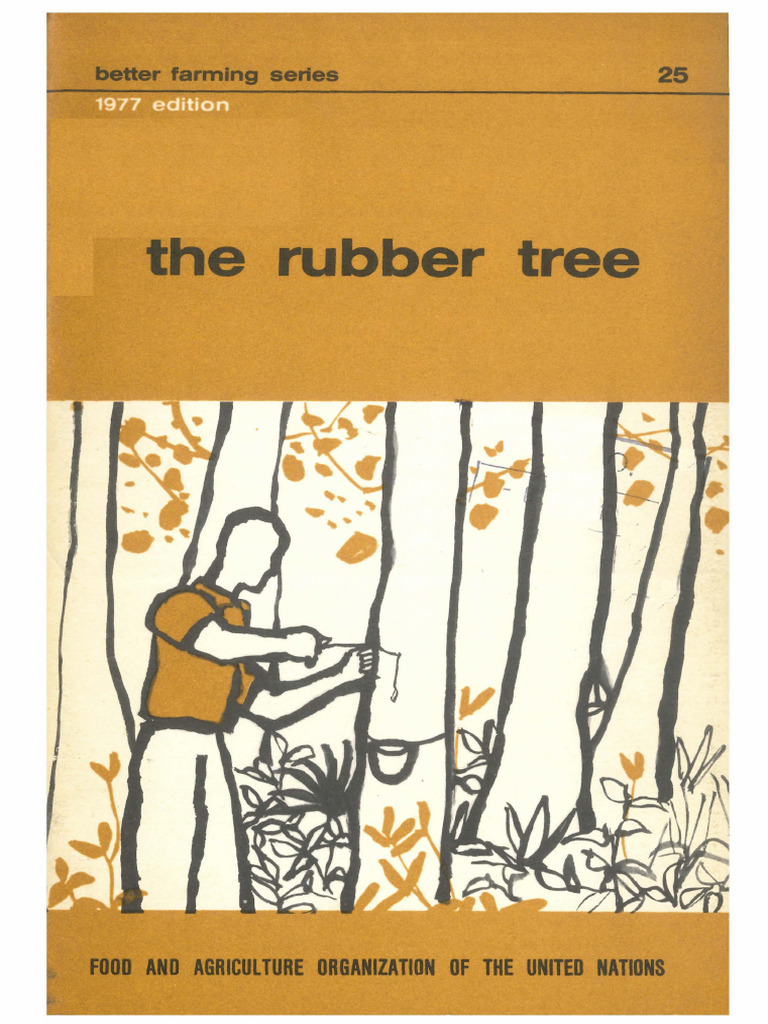 Rubber Tree Cultivation Guide | PDF | Grafting | Pruning