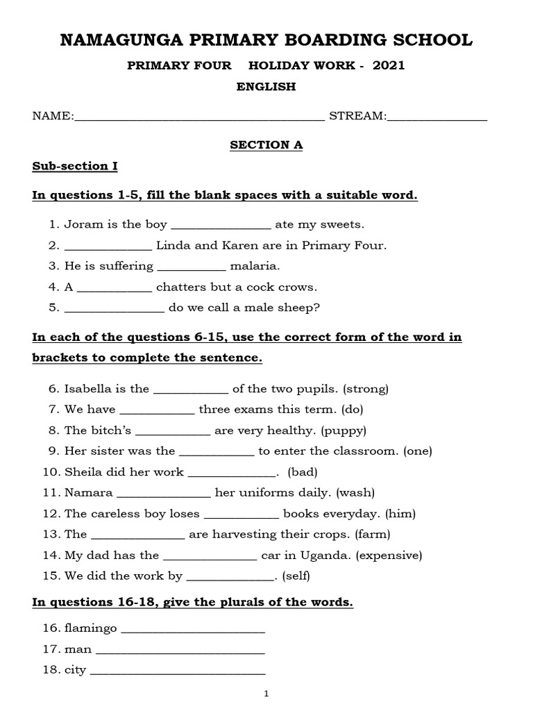 Primary Four English Holiday Work 2021 | PDF