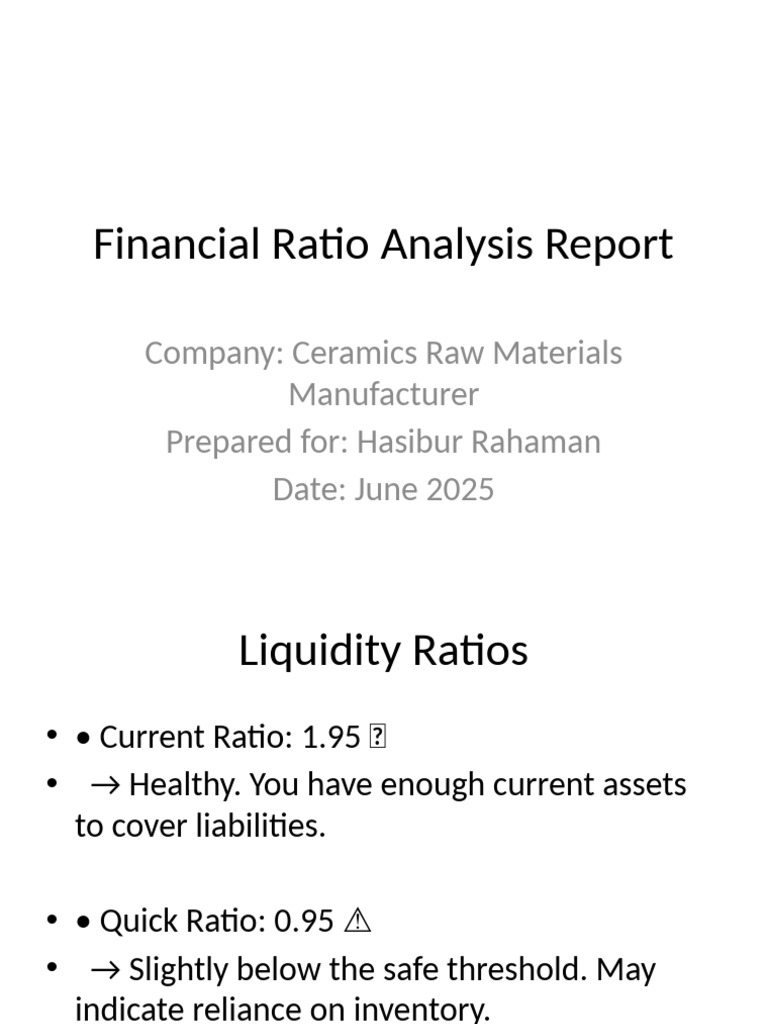 Financial Ratio Analysis Report Hasibur Rahaman June2025 | PDF