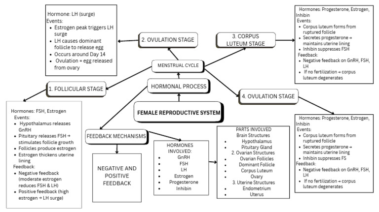 Feedback Mechanisms in The Reproductive System | PDF | Luteinizing ...