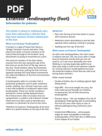 Foot Exercises for Extensor Tendonitis | PDF | Anatomical Terms Of ...