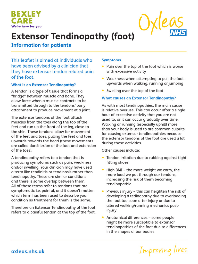 Foot Exercises for Extensor Tendonitis | PDF | Foot | Musculoskeletal ...