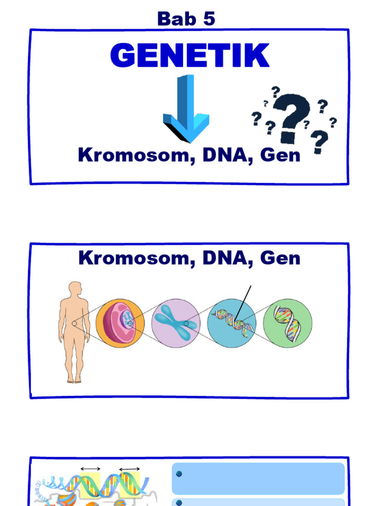 Nota Bab 5 Genetik - Edisi 1 | PDF