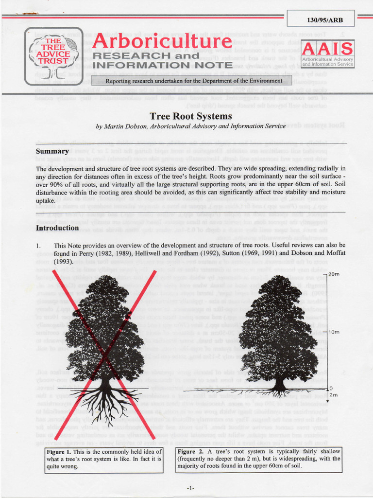 6181f2b7-e35d-4075-832f-5e230d16aa9e | PDF