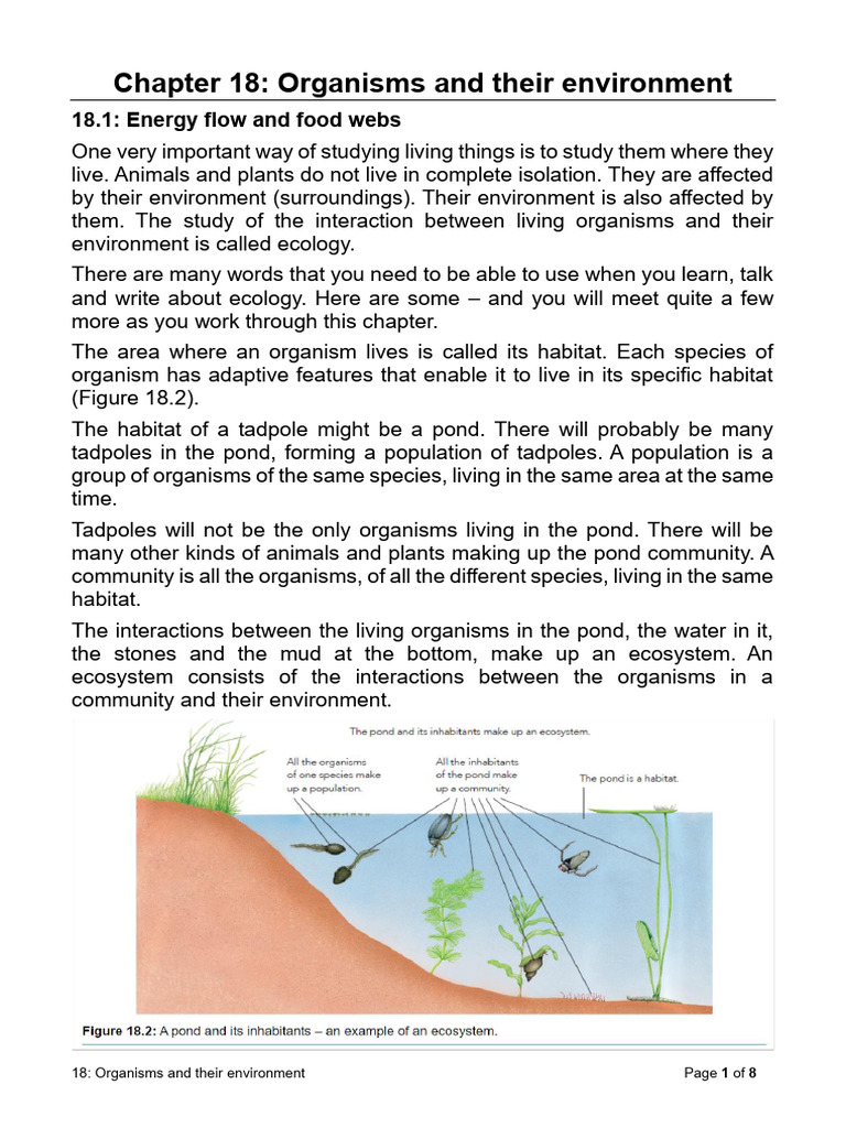 Ecology: Organisms and Ecosystems | PDF | Food Web | Foods