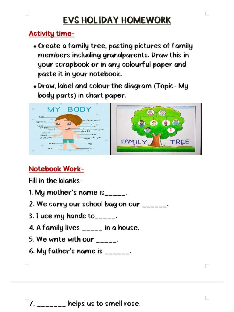 EVS Summer Holiday Homework | PDF