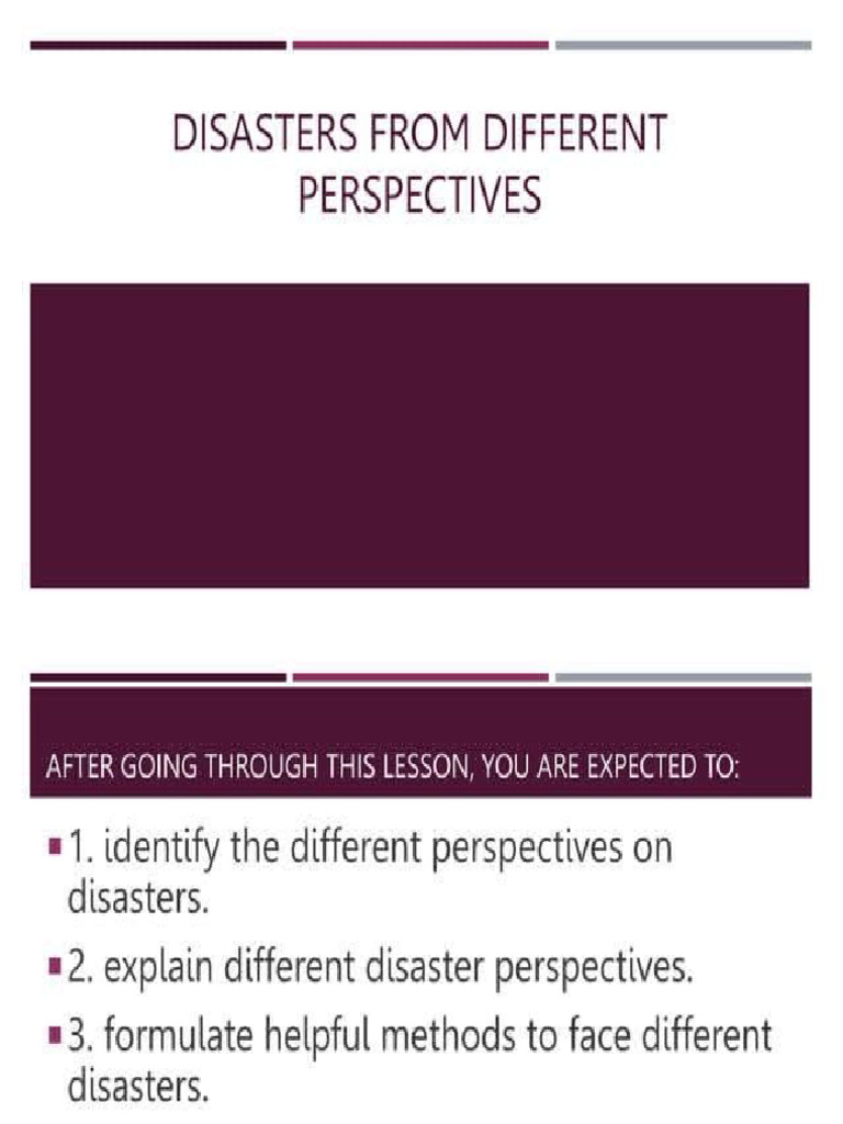 Disaster From Different Perspective | PDF