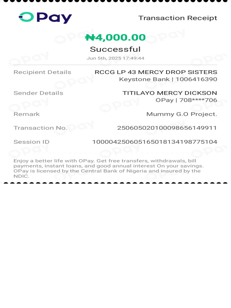 Successful OPay Transaction Receipt | PDF